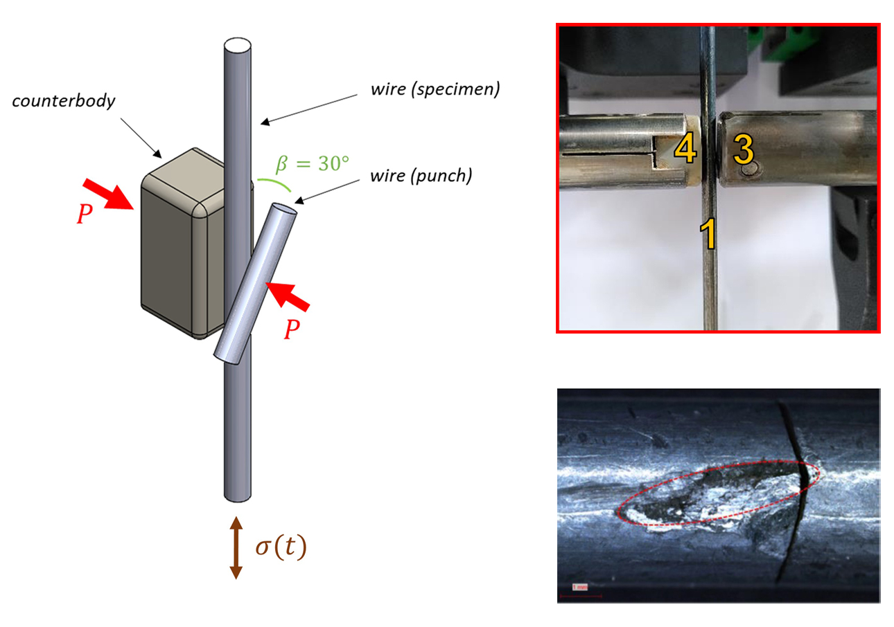 Modélisation « du matériau à la structure » : le cas des câbles d’ancrage pour l’éolien offshore ...